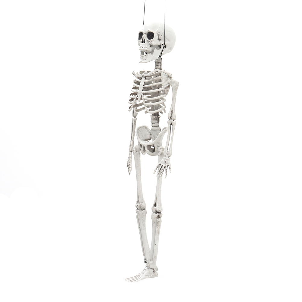 Realistic Posable Hanging Skeleton for Halloween - Distressed White