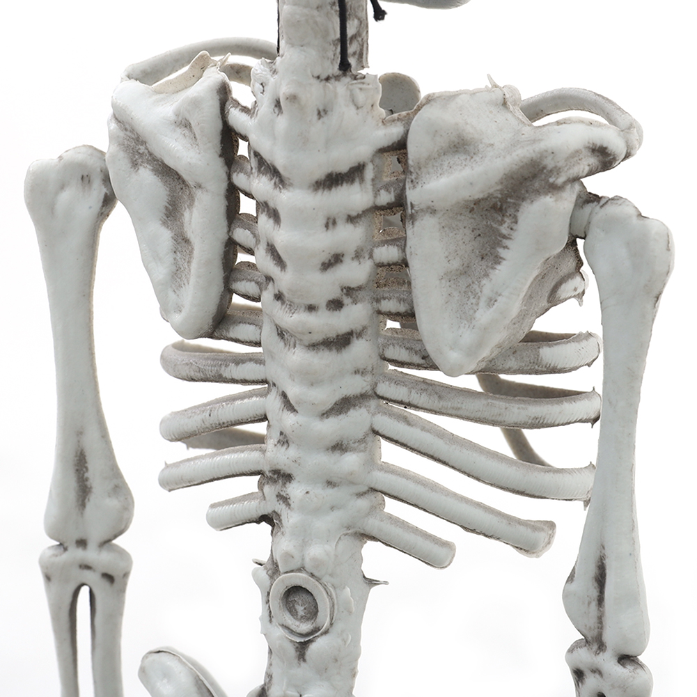 Realistic Posable Hanging Skeleton for Halloween - Distressed White