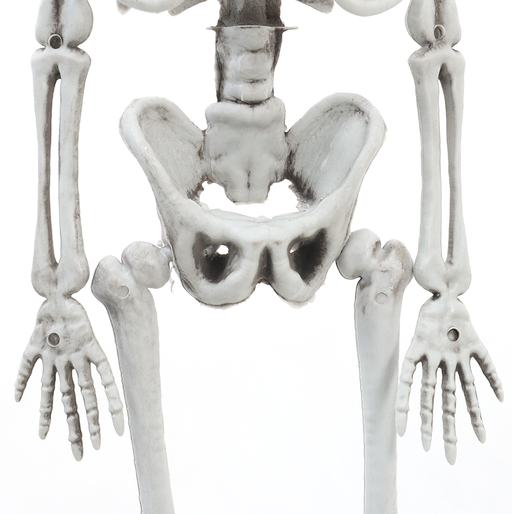Realistic Posable Hanging Skeleton for Halloween - Distressed White