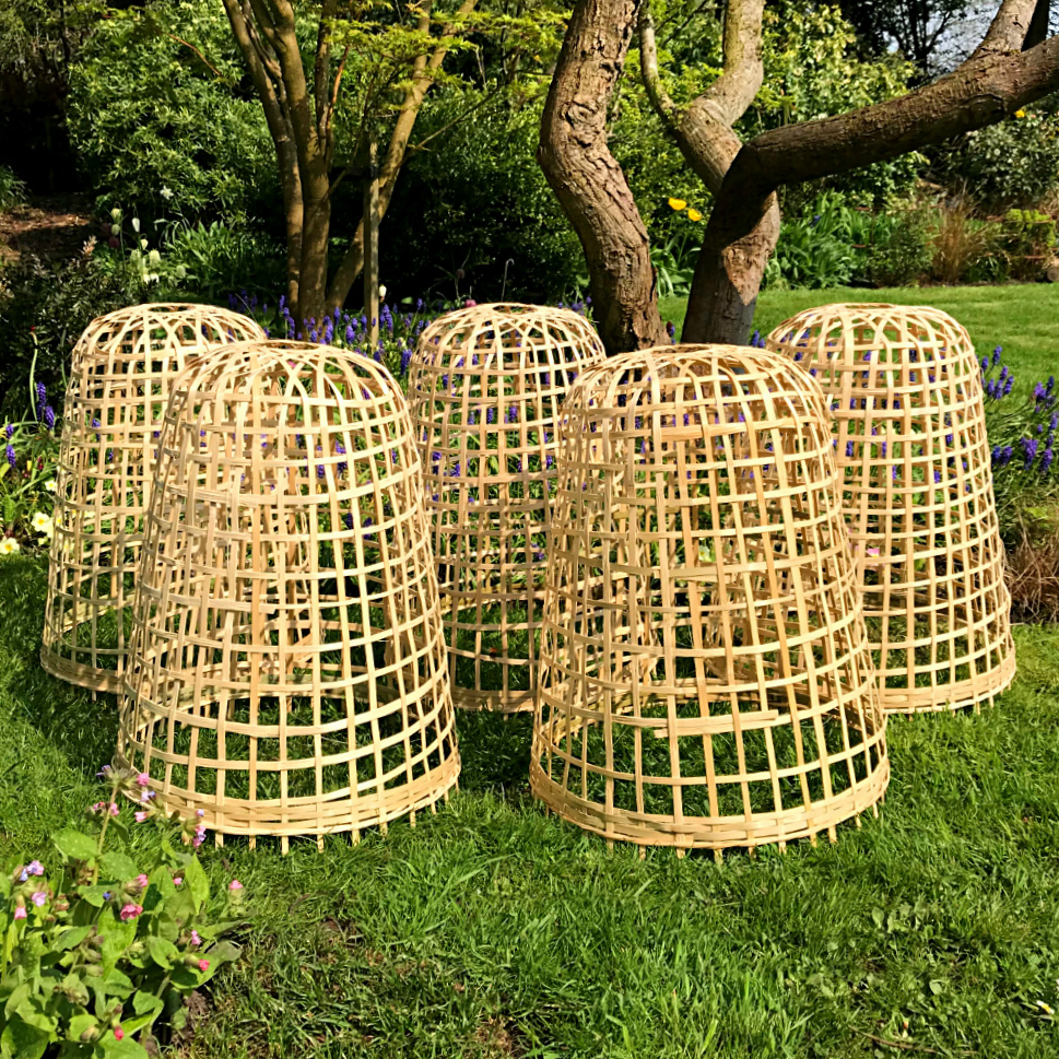 Bamboo Bell Cloche & Garden Plant Protection Cover - Small
