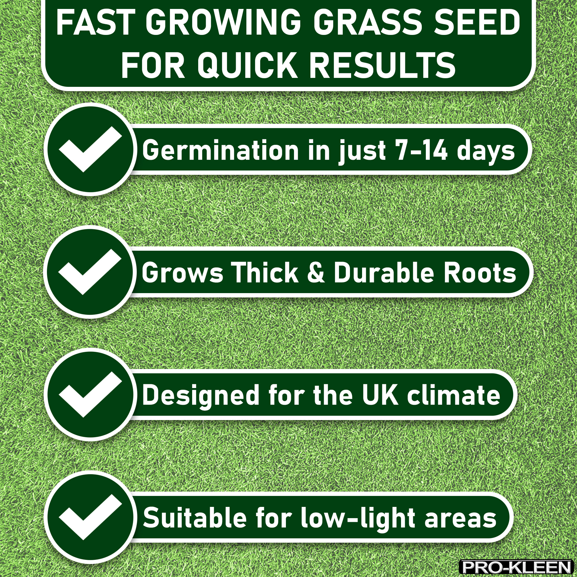 ProKleen Grass Seed Fast Growing Rye Fescue Hardwearing Perennial Lawn ...