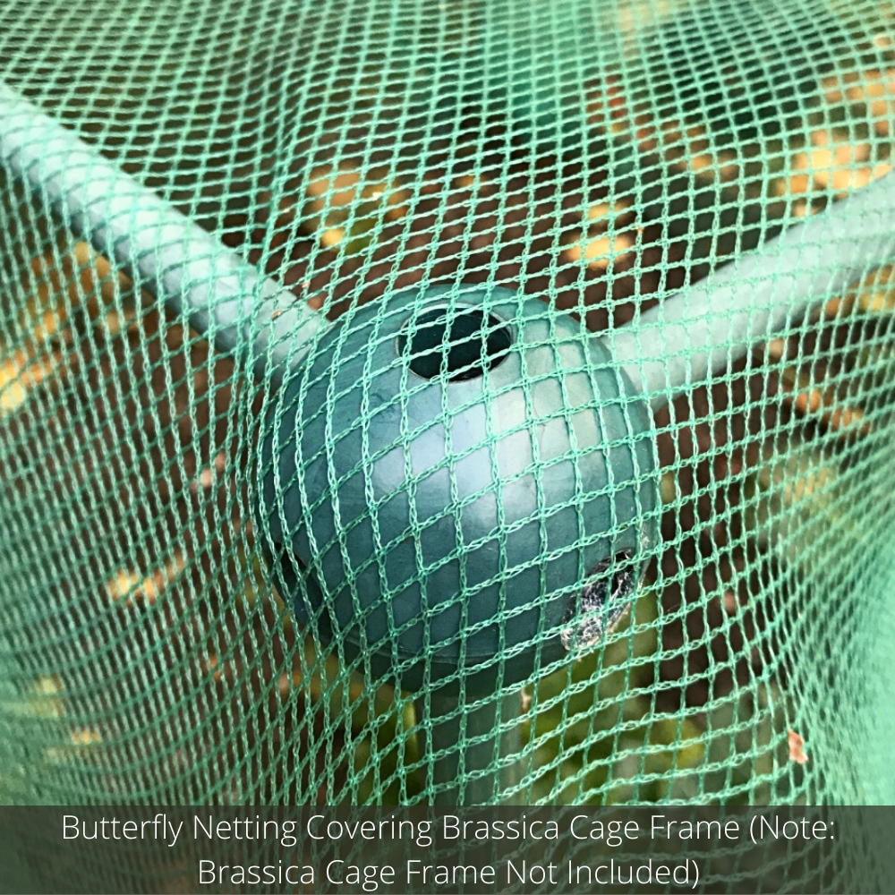 Soft Butterfly Mesh Netting for Cabbages Brassicas & Plants - 6m Wide