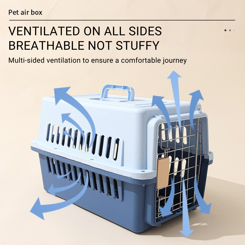 Hard Shell Cat & Pet Carrier - Plastic Travel Crate with Handle ...