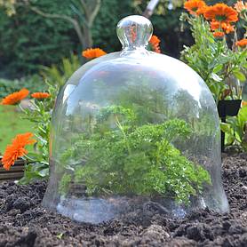 How To Make A Glass Garden Cloche | Fasci Garden