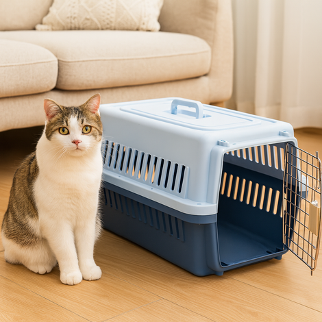 Hard Shell Cat & Pet Carrier - Plastic Travel Crate with Handle ...